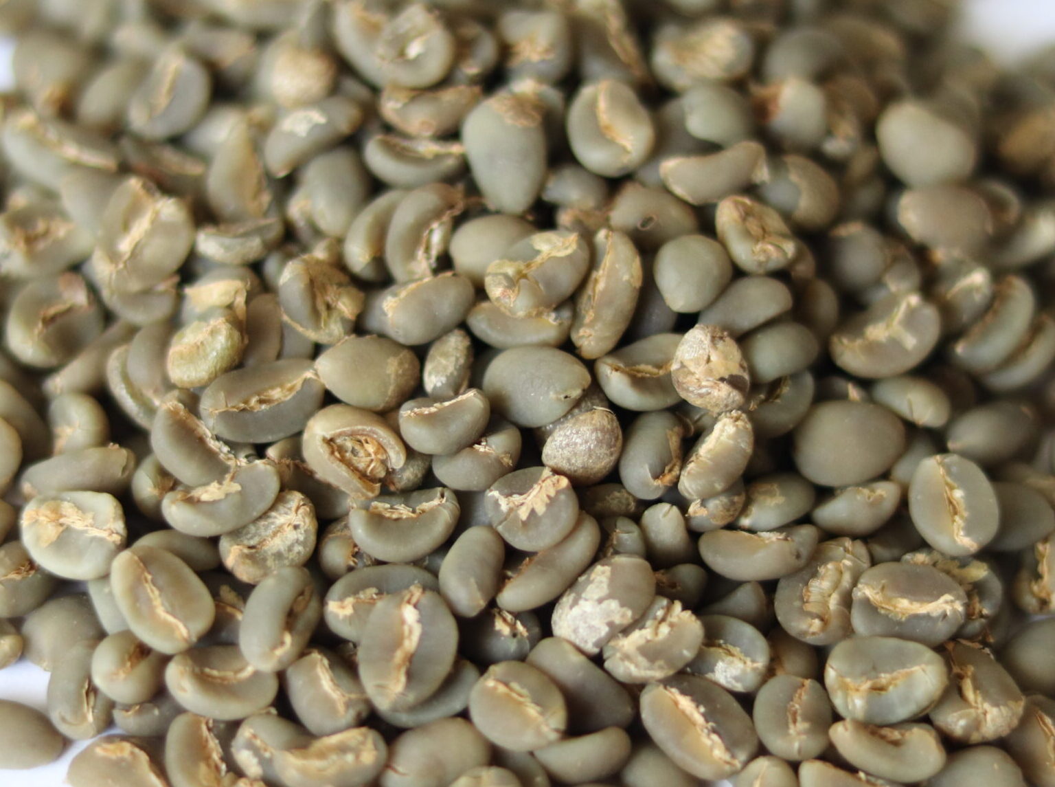 Green Beans Arabica Grade 1 – Sada Coffee